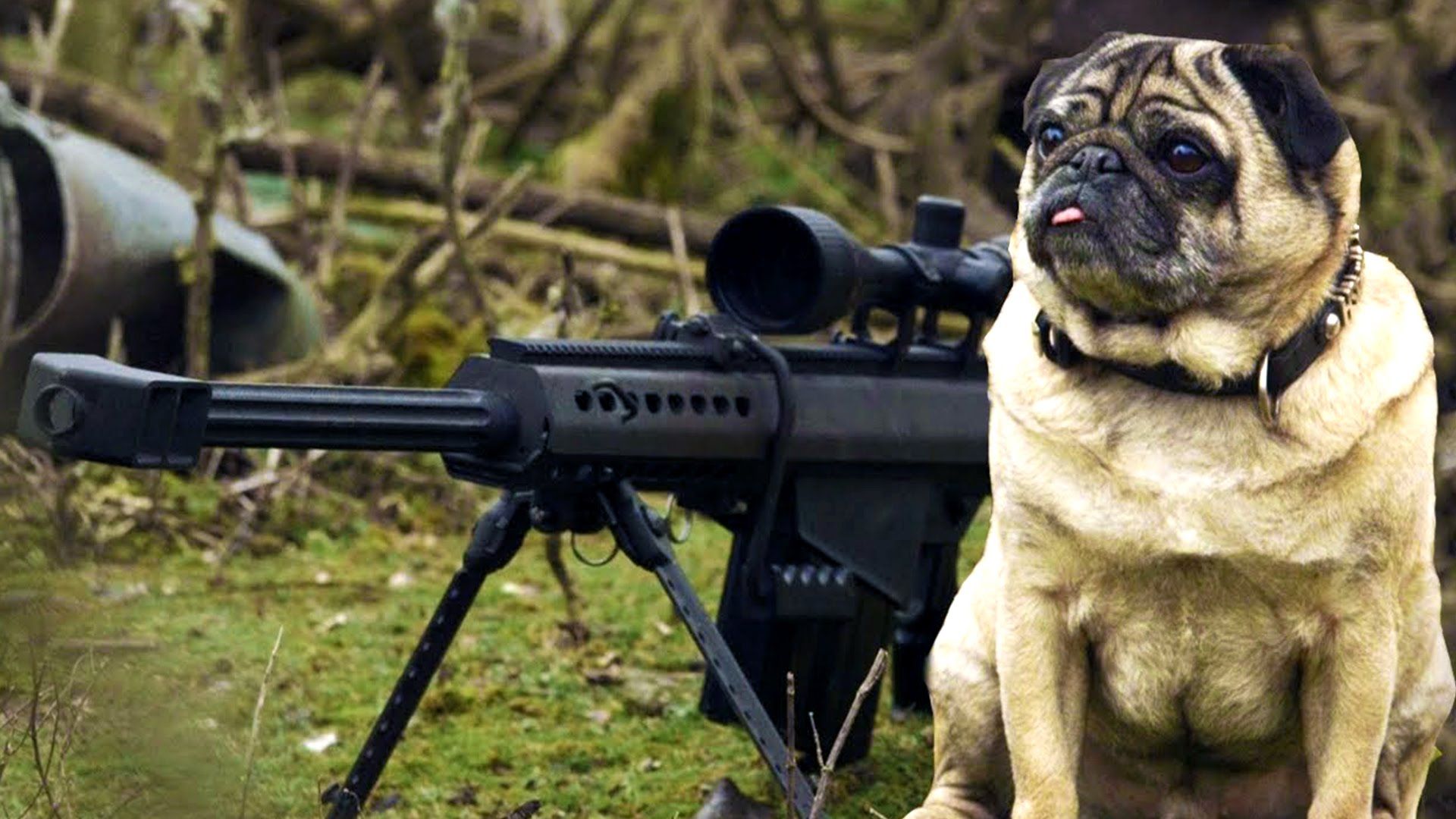 Avis sur Sniper Pug (2014) - SensCritique