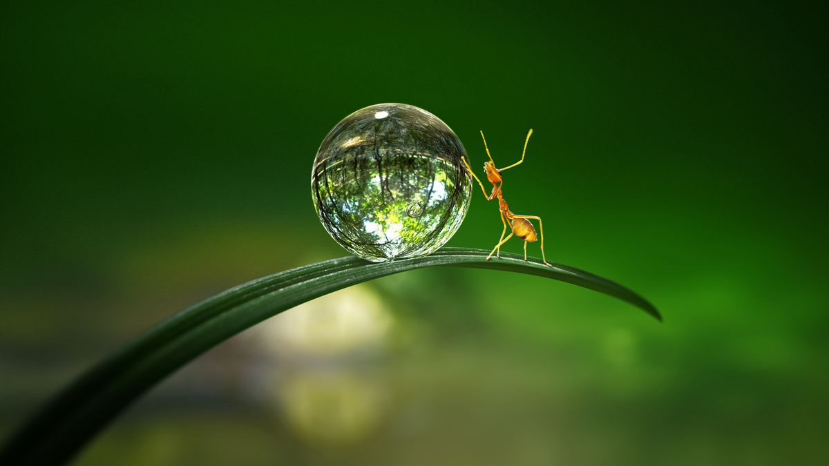 Tiny World - Série - SensCritique