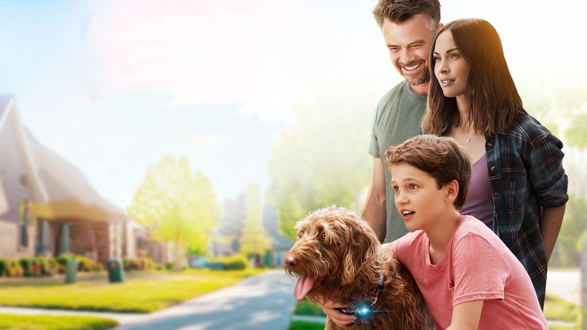 Think Like a Dog - Film - SensCritique