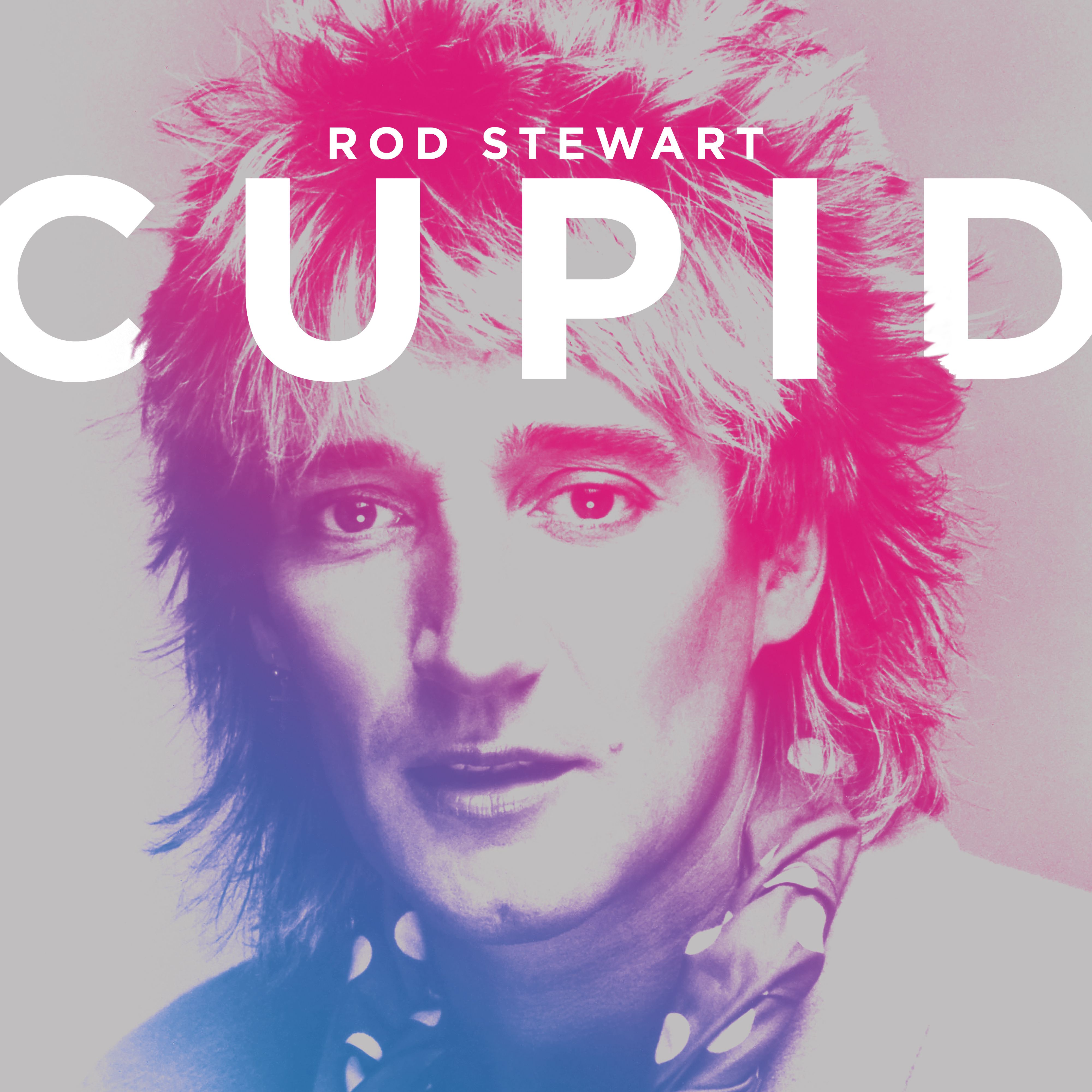 Cupid - Rod Stewart - SensCritique