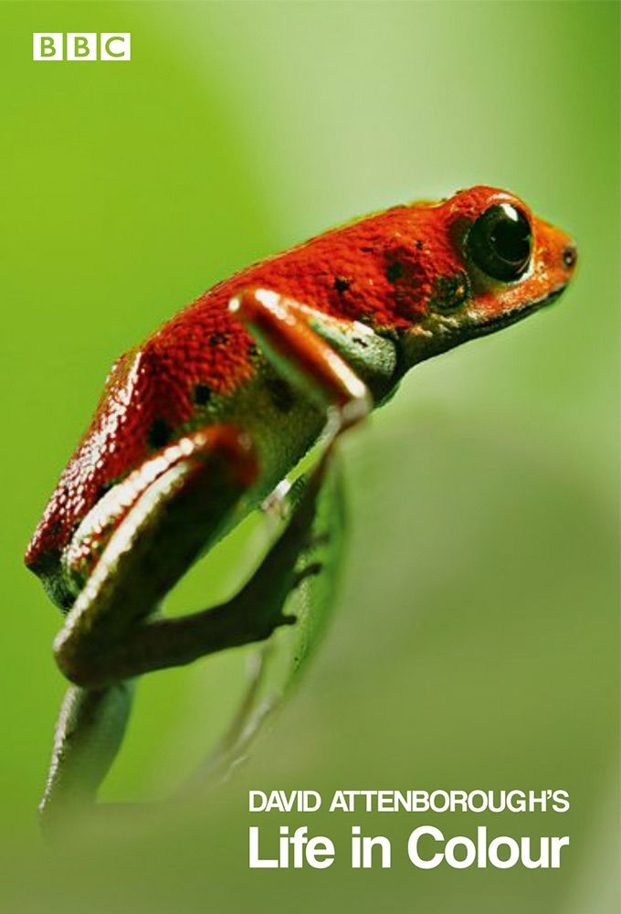La Vie en couleurs avec David Attenborough - Série (2021)