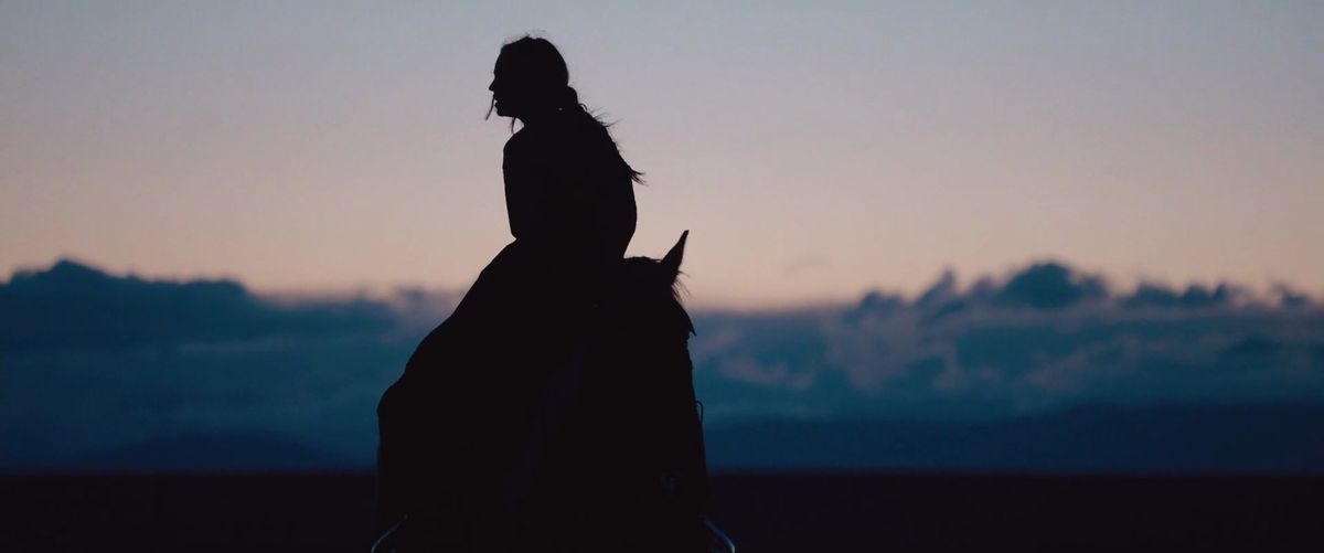 The Homesman - Film (2014) - SensCritique