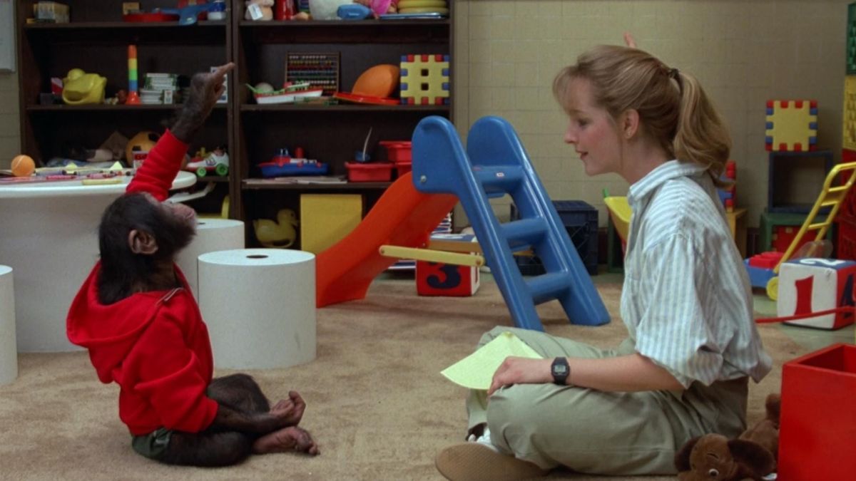 Projet X - Film (1987) - SensCritique