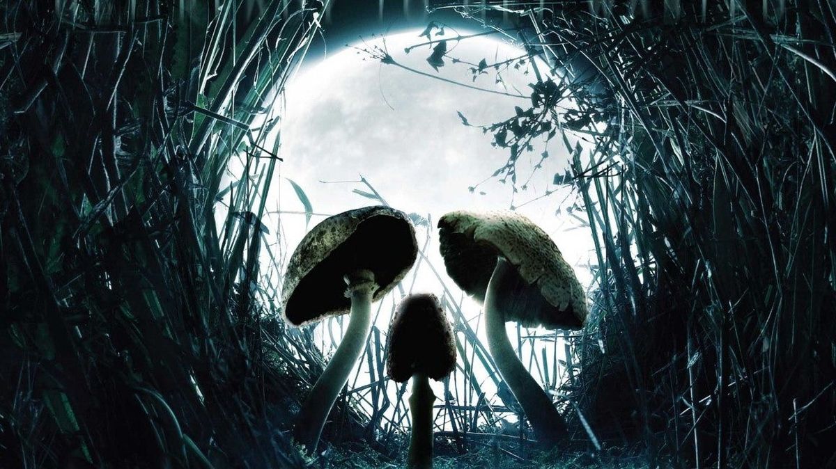 Shrooms - Film (2008) - SensCritique