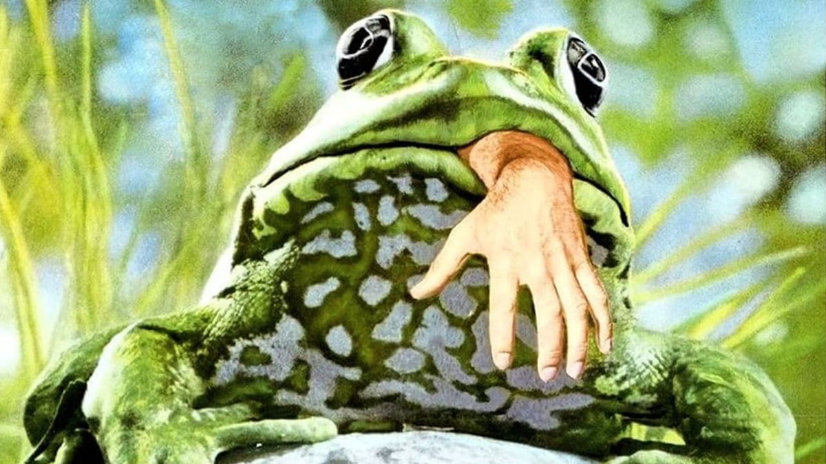 Avis sur le film Les Crapauds (1972) par Ygor Parizel