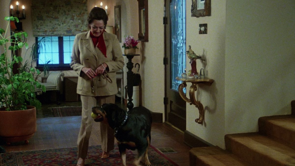 Play Dead - Film (1983) - SensCritique