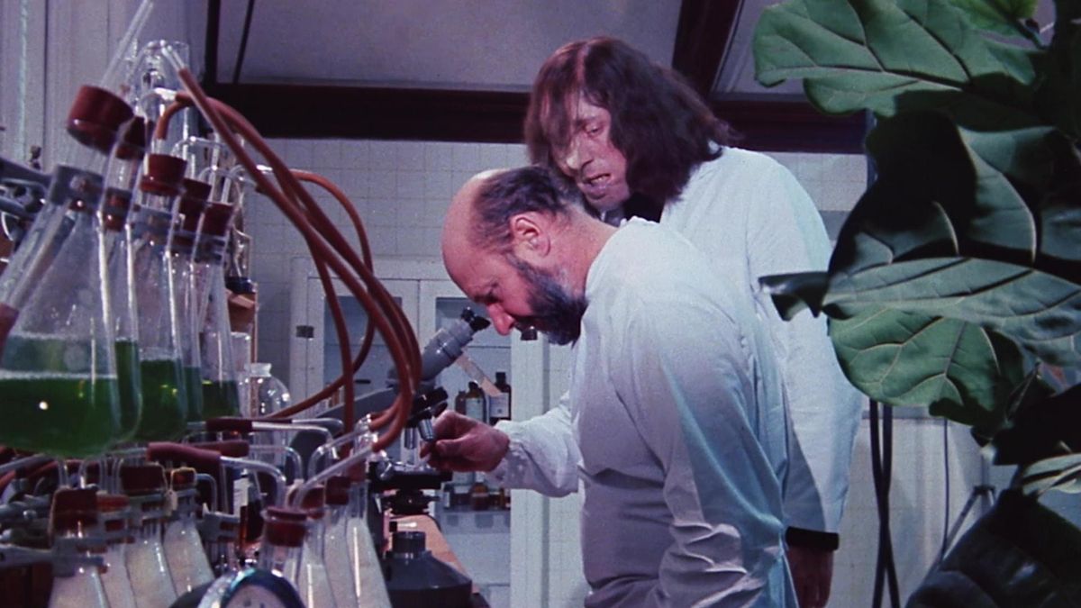 Mutations - Film - SensCritique