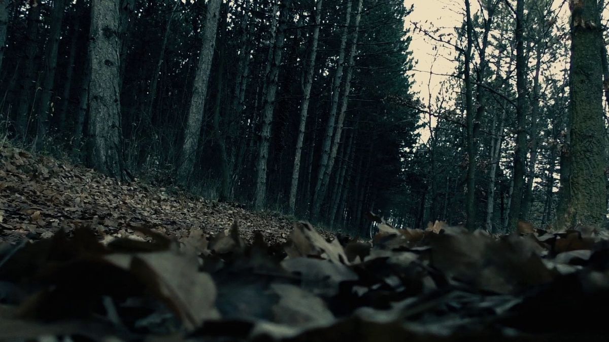 Moth - Film (2016) - SensCritique