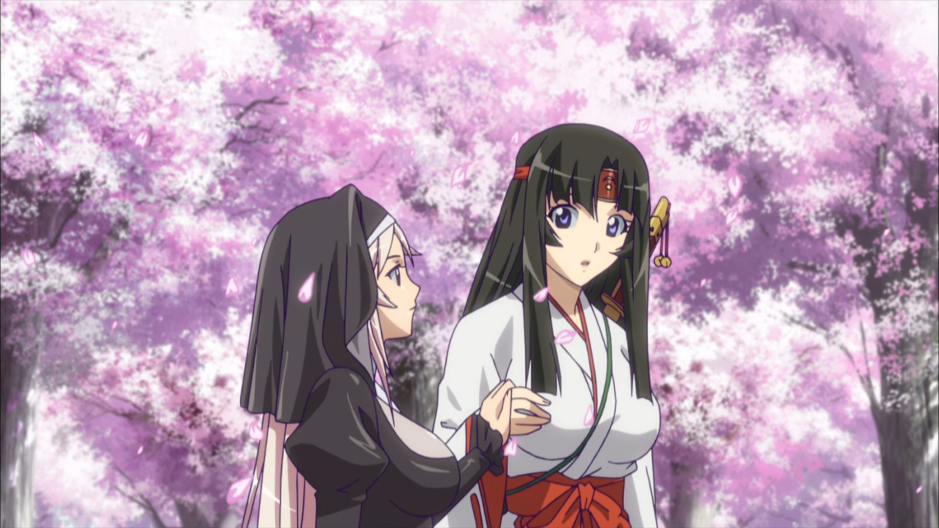 Images de Queen's Blade: Beautiful Warriors (2010) - SensCritique