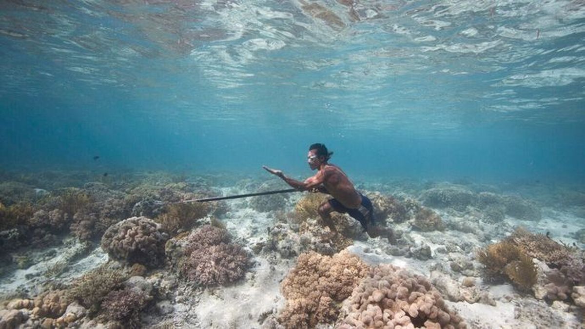 Traditions du triangle de corail - Documentaire (2022) - SensCritique