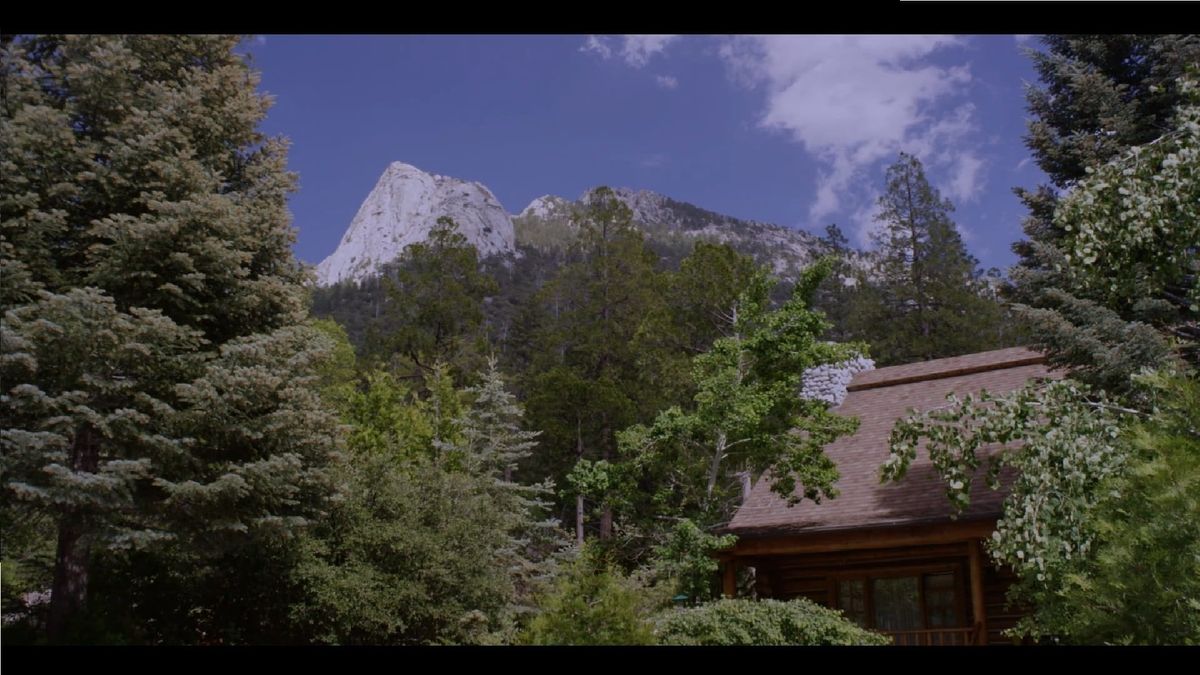 Why - Film (2021) - SensCritique