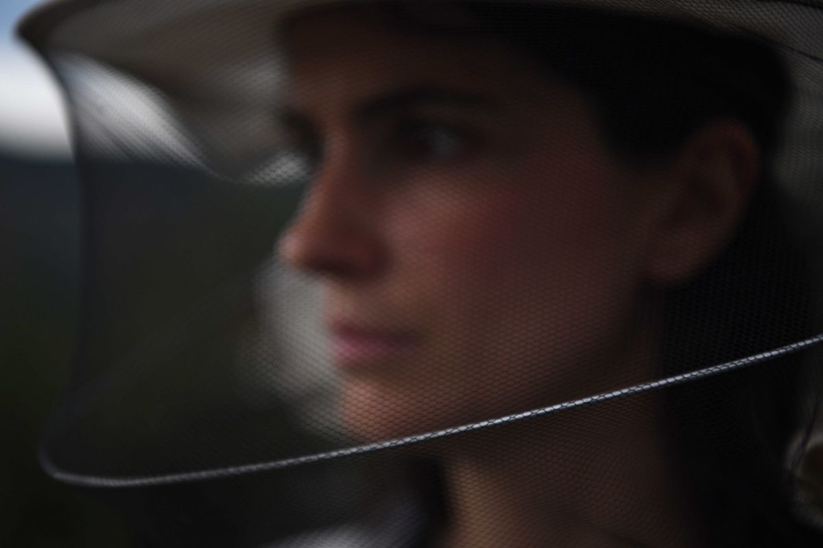 La Ruche - Film (2022) - SensCritique