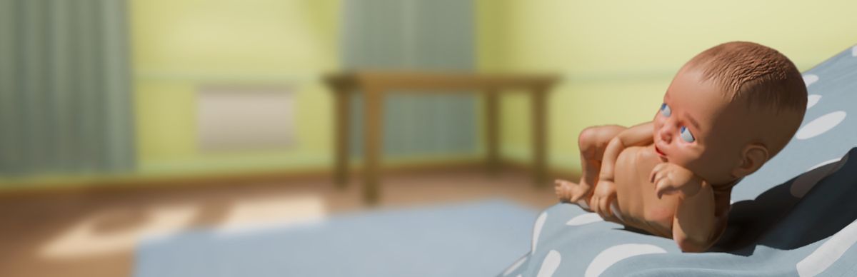 Mother Simulator 2018 Jeu Vidéo Senscritique 5344