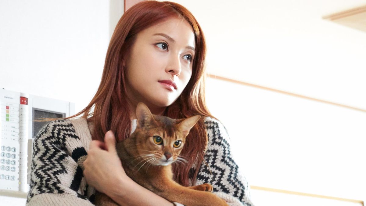 how-to-break-up-with-my-cat-film-2016-senscritique