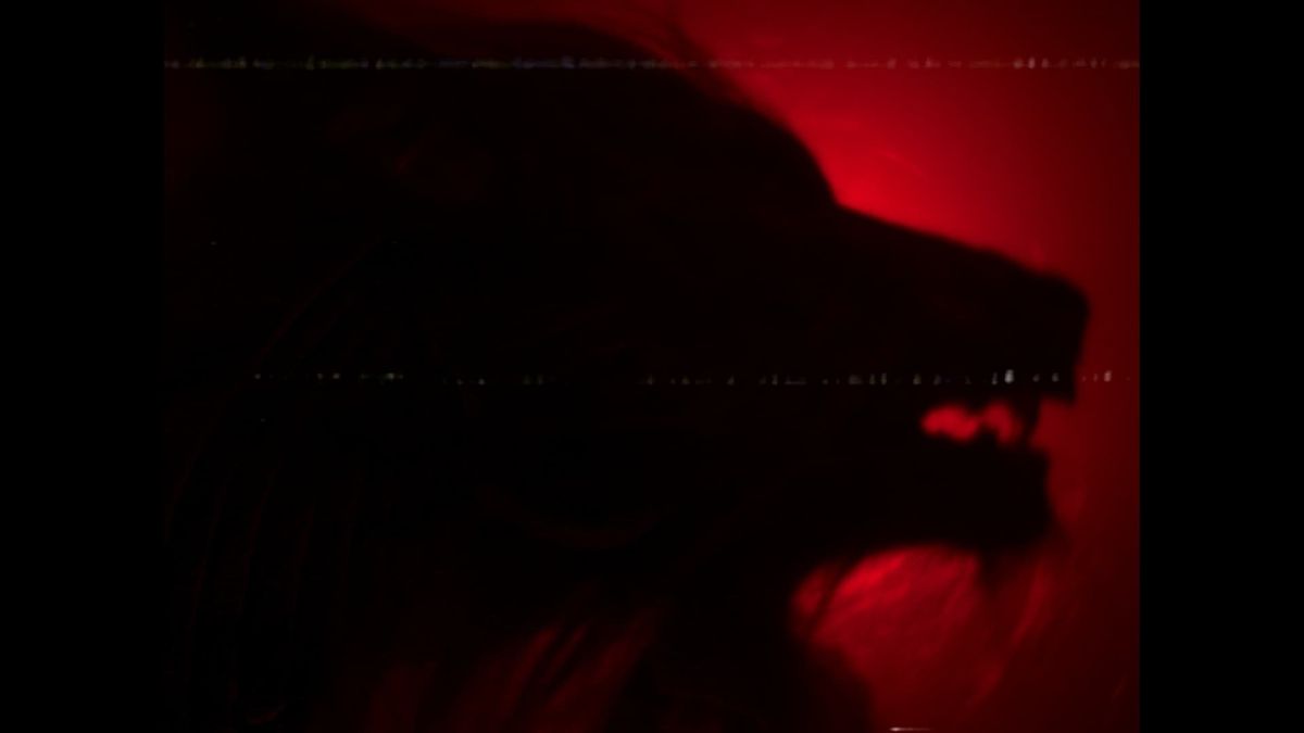 American Werewolves - Documentaire - SensCritique