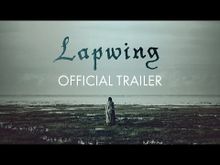 Lapwing - Film (2021) - SensCritique