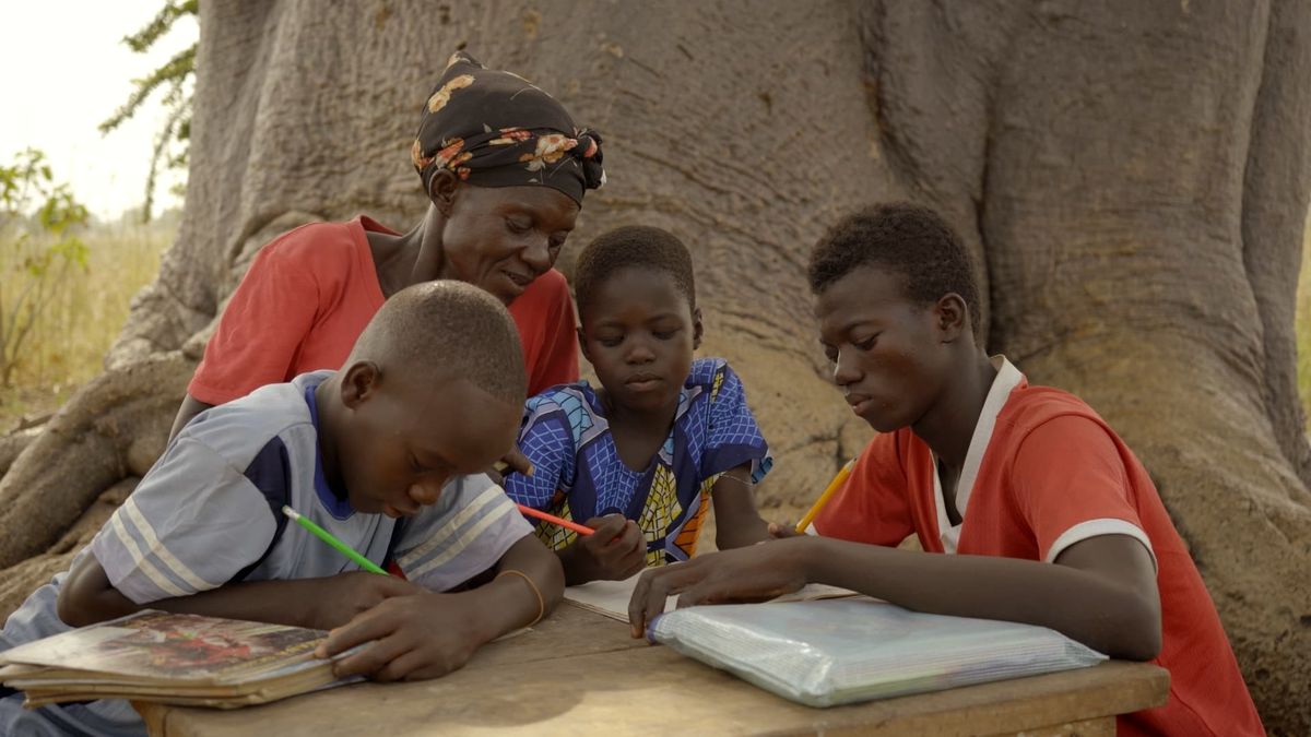 The Forest Maker - Documentaire (2022) - SensCritique