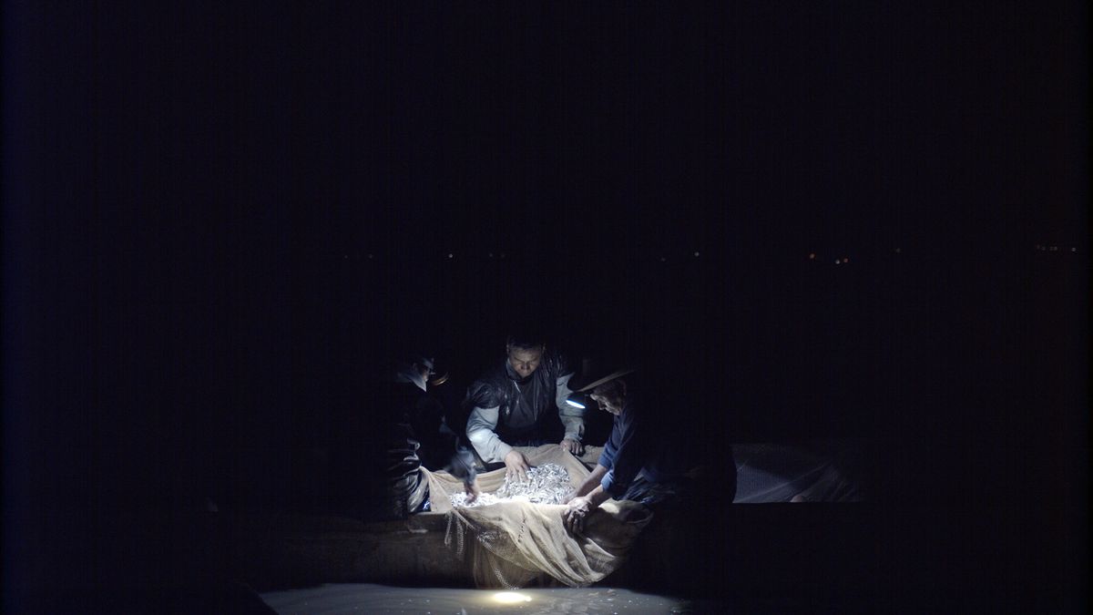 A Common Sequence - Documentaire - SensCritique