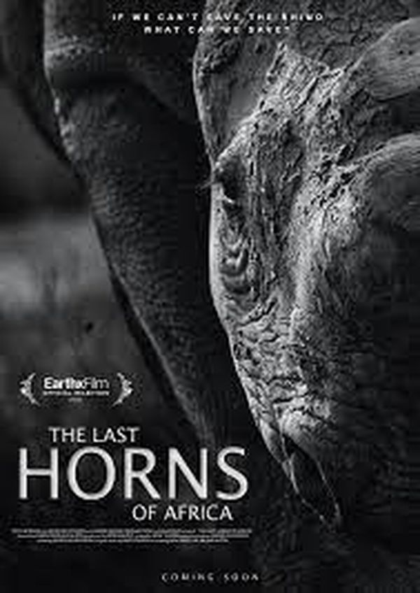 Les Derniers Rhinocéros d'Afrique - Film - SensCritique