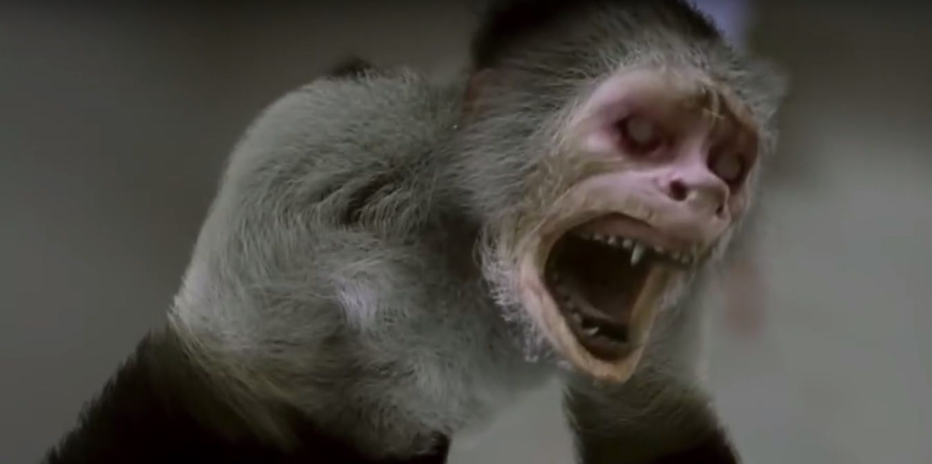 Images de Zoombies (2016) - SensCritique