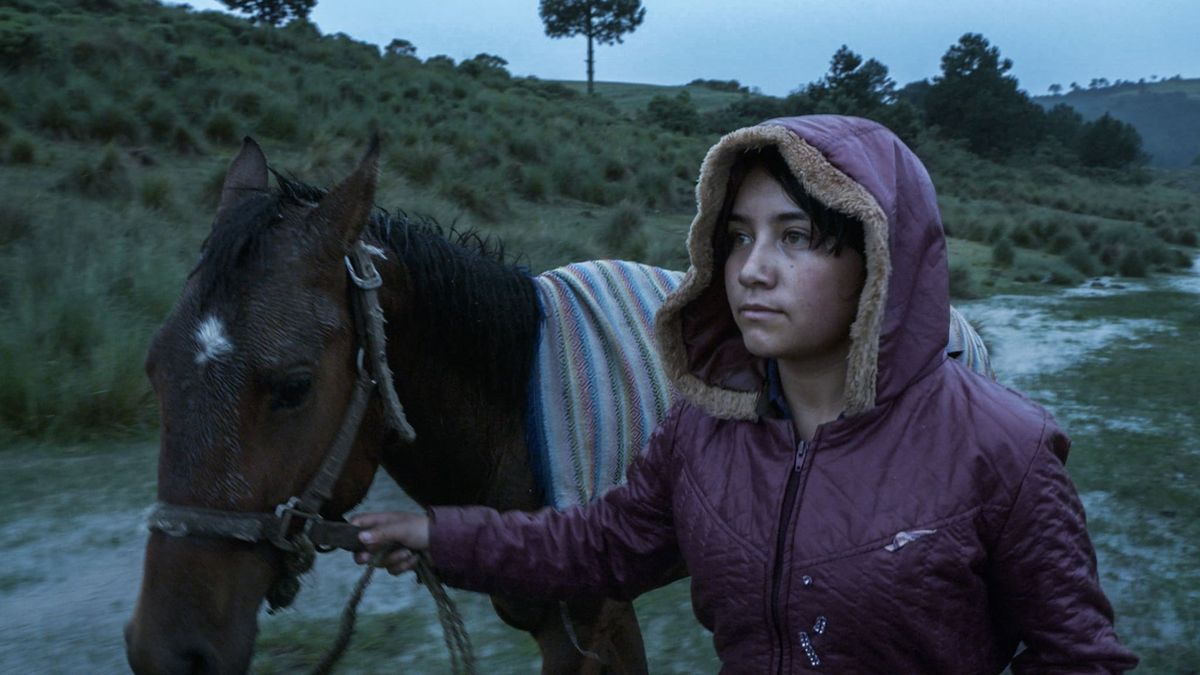 L'écho - Documentaire - SensCritique