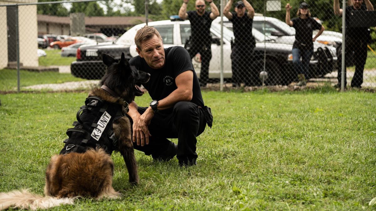 Muzzle - Film - SensCritique