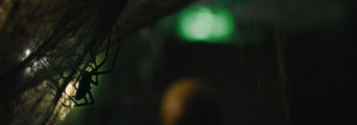 Vermines - Film (2023) - SensCritique