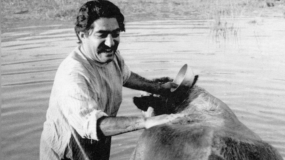 La Vache - Film - SensCritique