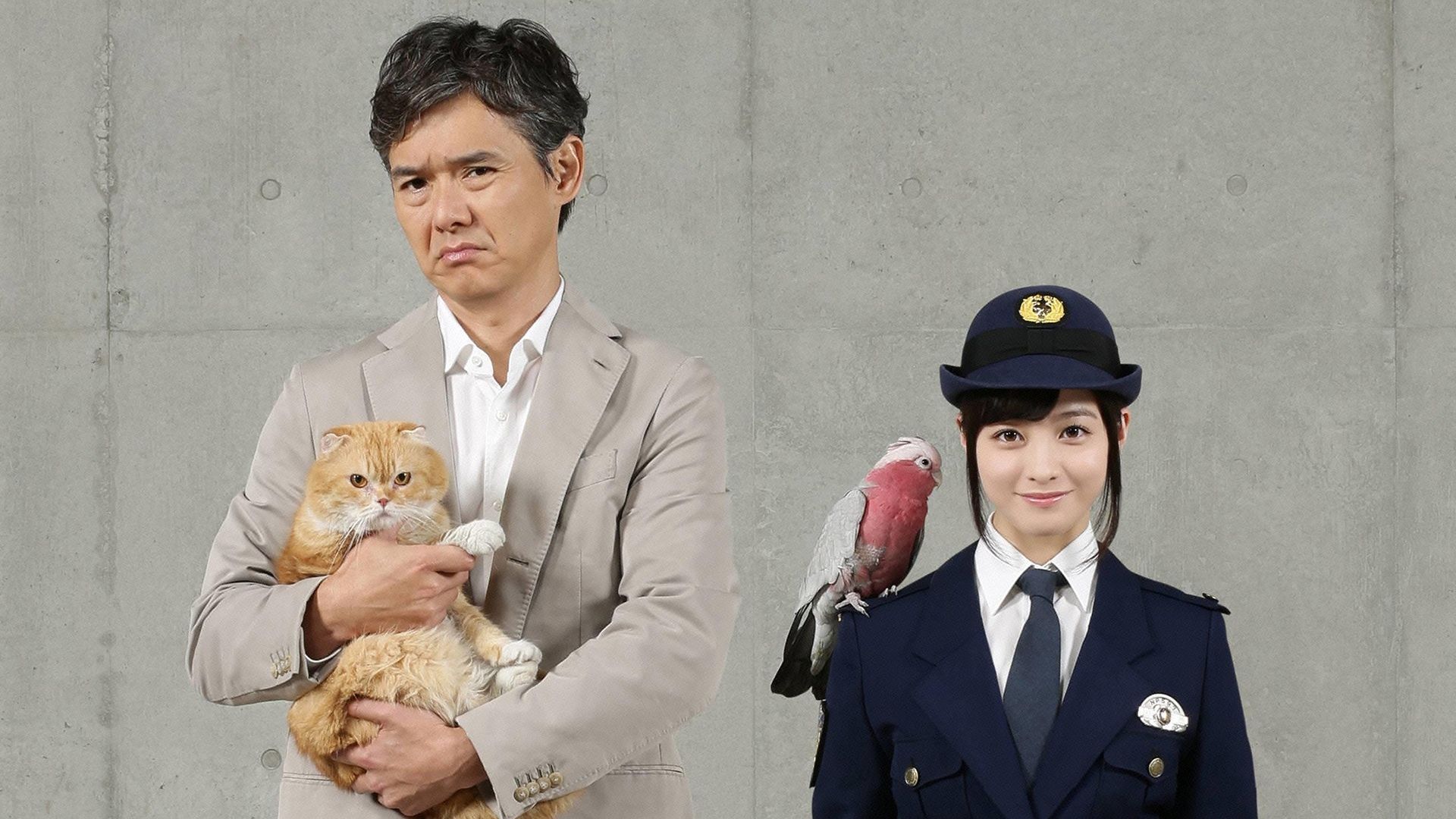 Images de MPD: Animal Unit (2017) - SensCritique