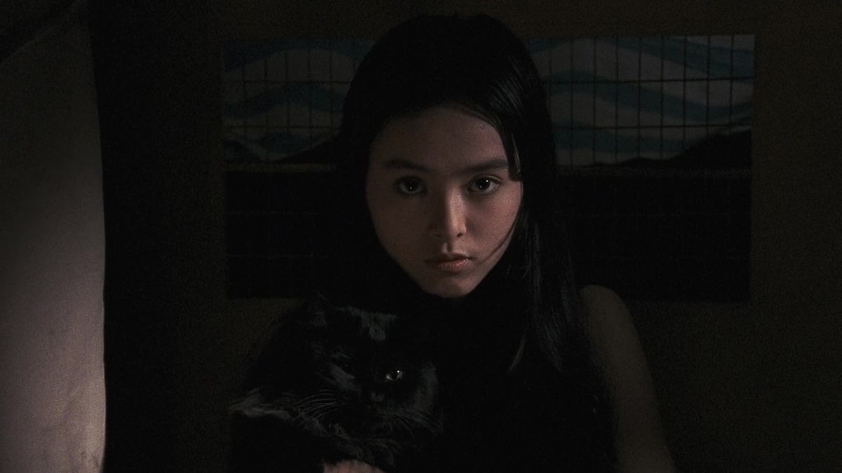 The Cat - Film (1992) - SensCritique