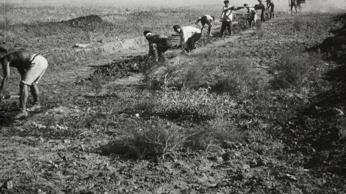 Turksib - Documentaire (1929) - SensCritique