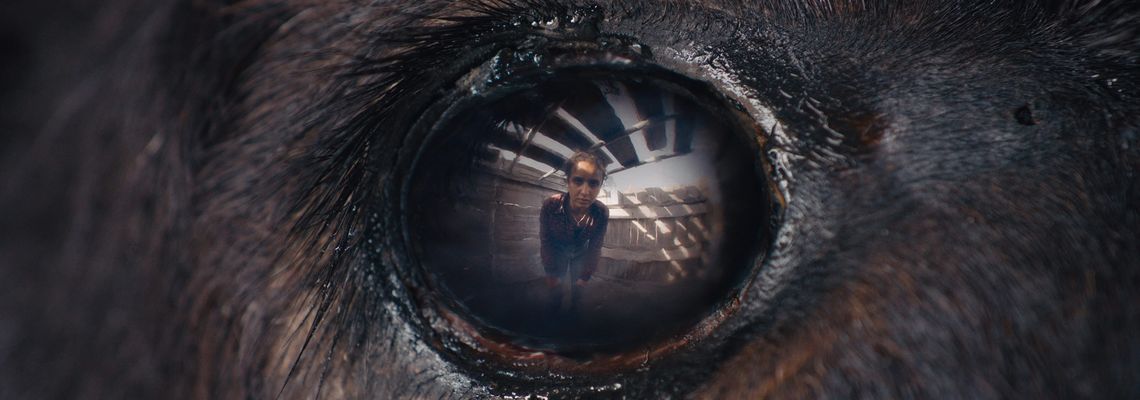 Animale - Film (2024) - SensCritique