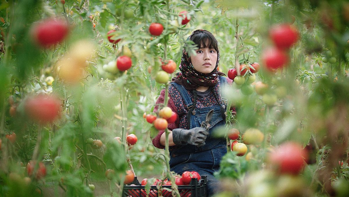 Au pays de nos frères - Film (2025) - SensCritique Au pays de nos frères - Film (2025) - SensCritique