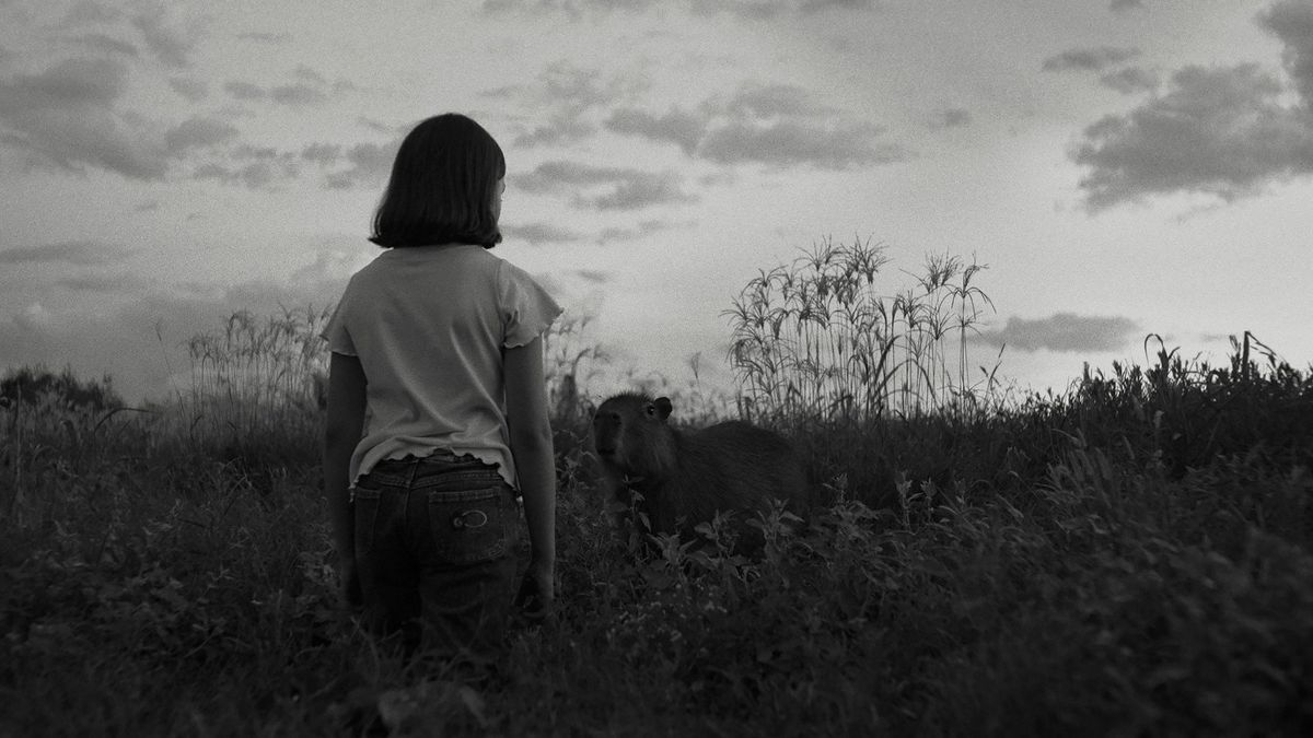 The Message - Film - SensCritique