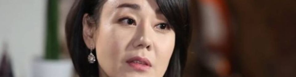 Les meilleures séries avec Kim Yun-Jin - Liste de 6 séries - SensCritique